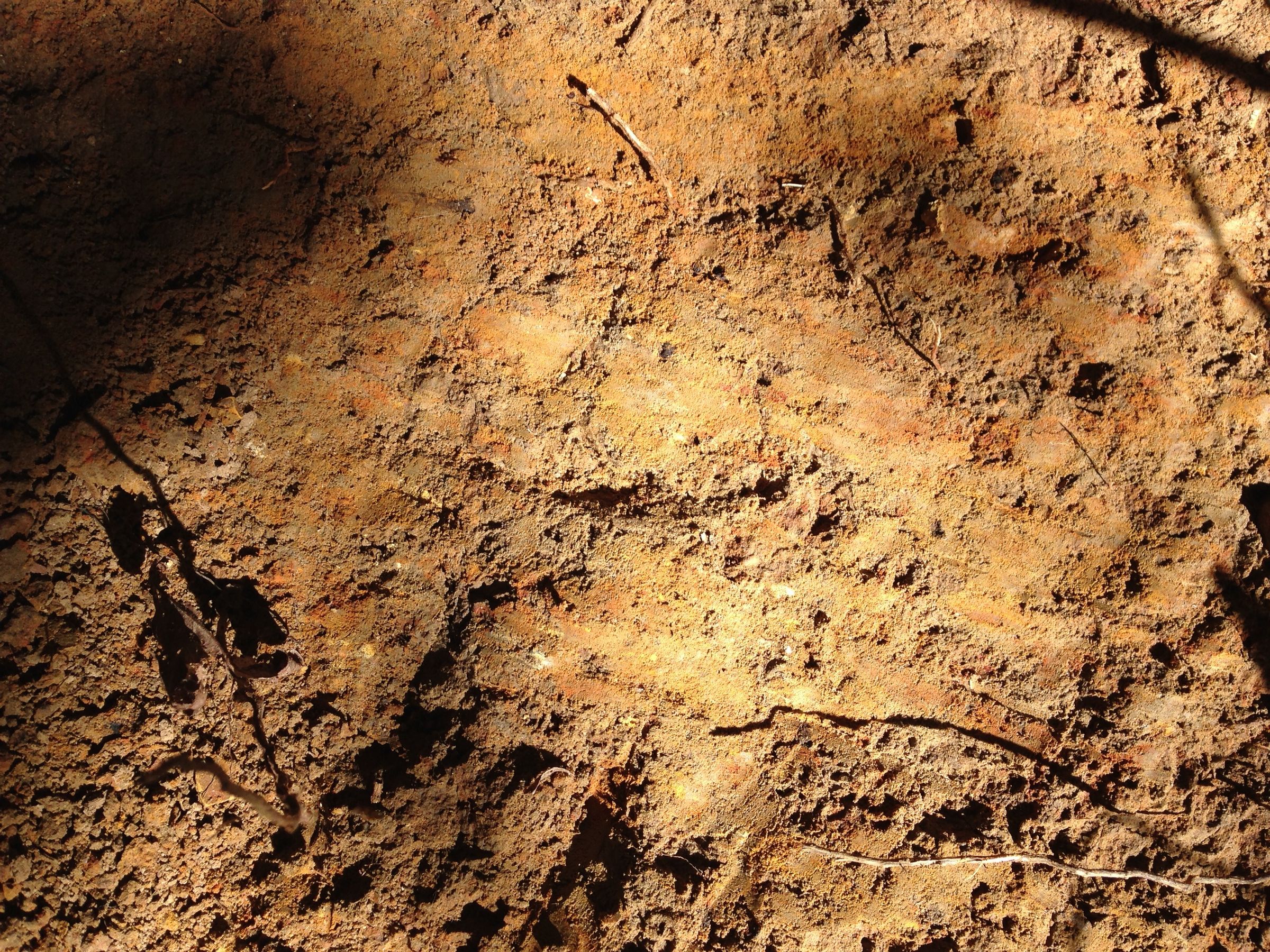 Harvesting Your Own Clay, Dirty But Delightful! : 22 Steps (with ...