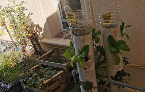 Vertical PVC Garden : 5 Steps (with Pictures) - Instructables