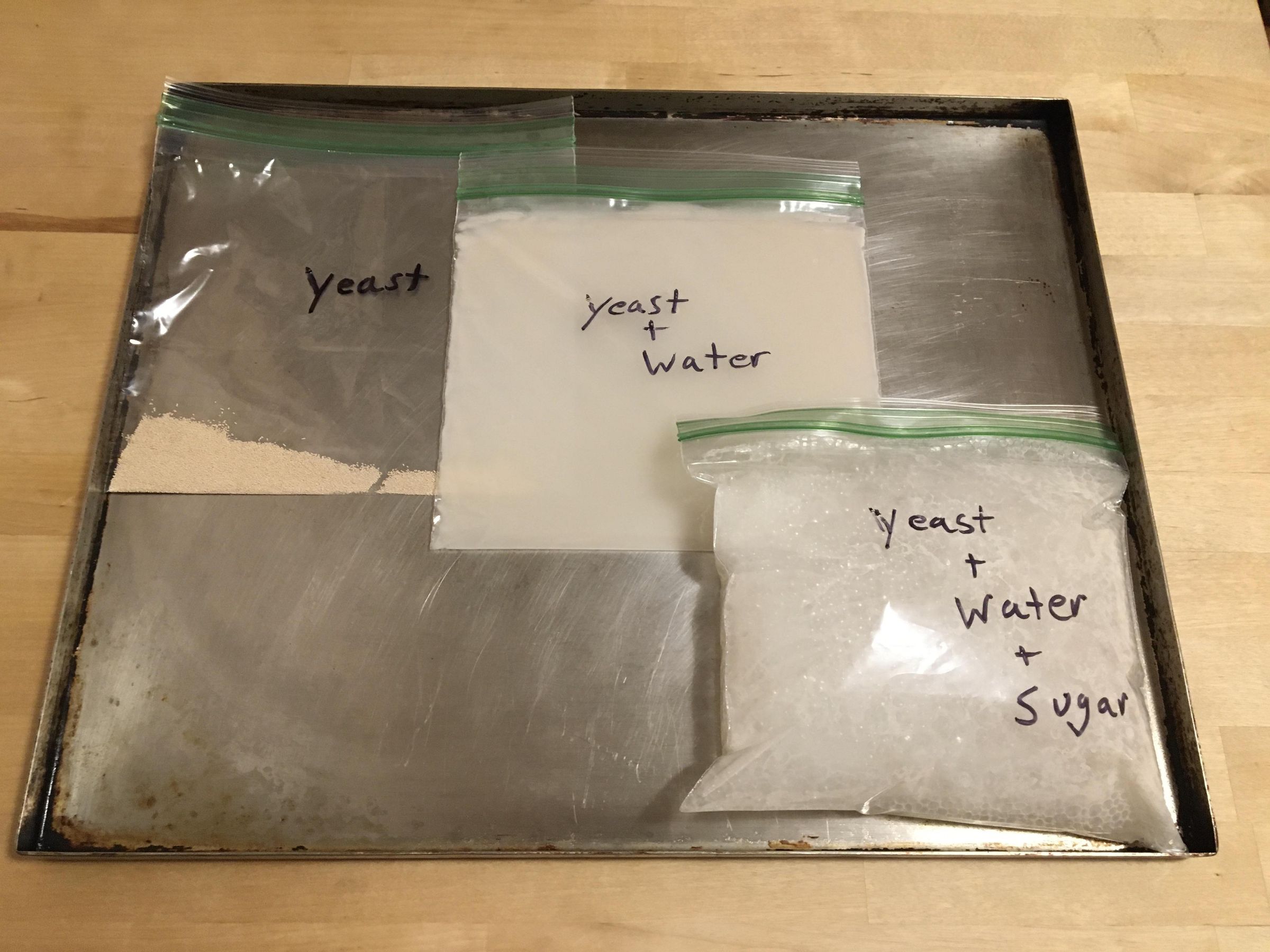 Yeast Experiments and Bread in a Bag : 5 Steps - Instructables