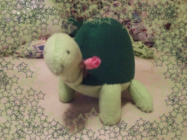 Turtle Tutorial : 15 Steps (with Pictures) - Instructables