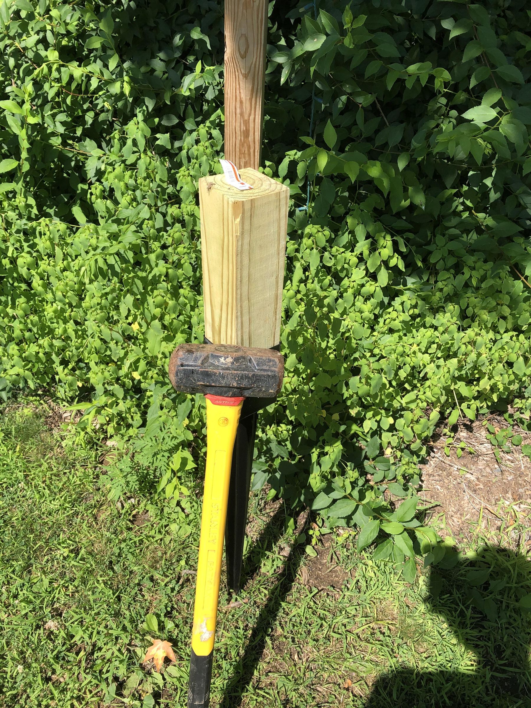 Library Story Stroll (Also Called Storywalk®) : 9 Steps (with Pictures ...