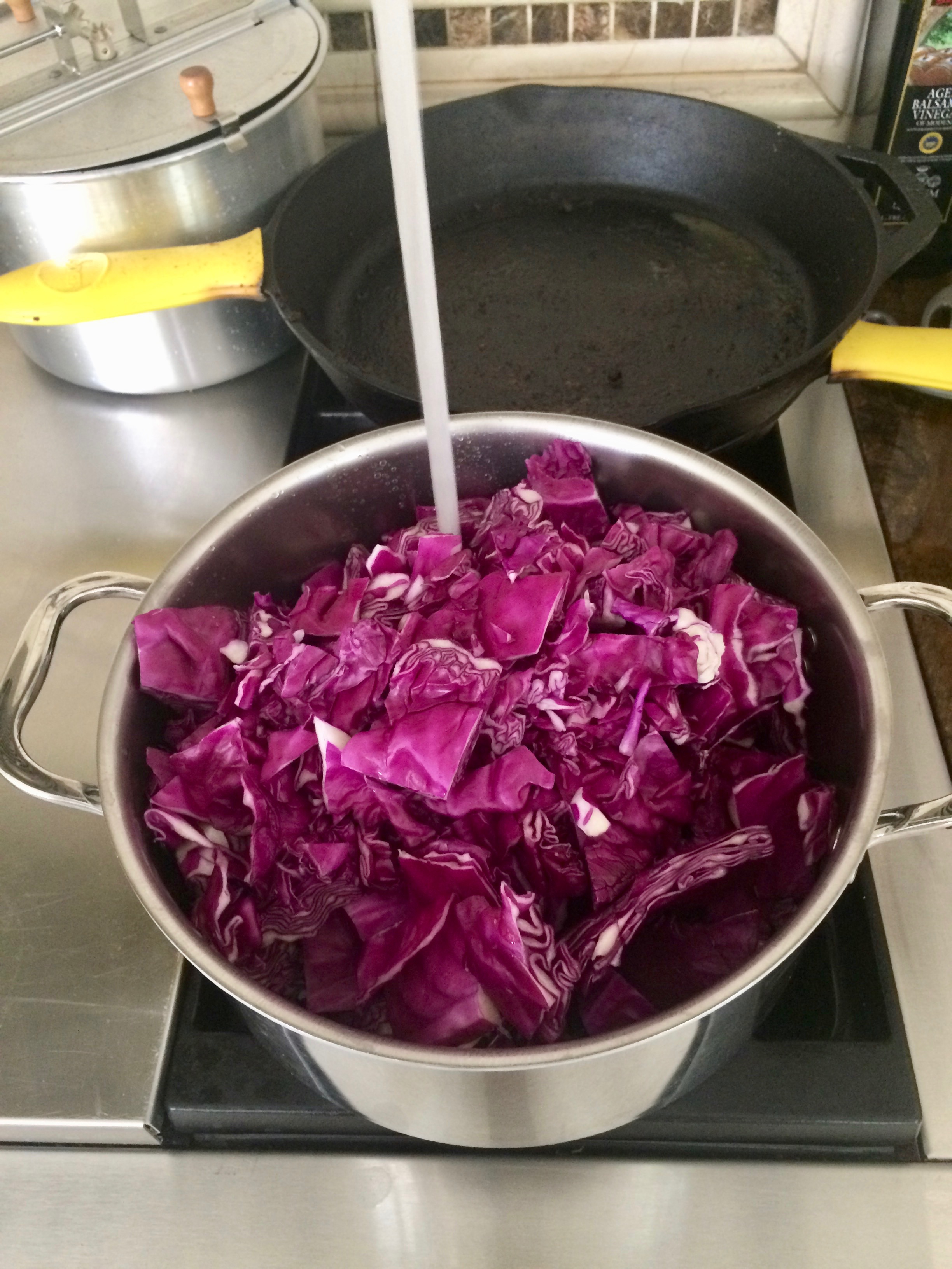 All-Natural Cabbage Dye : 8 Steps (with Pictures) - Instructables