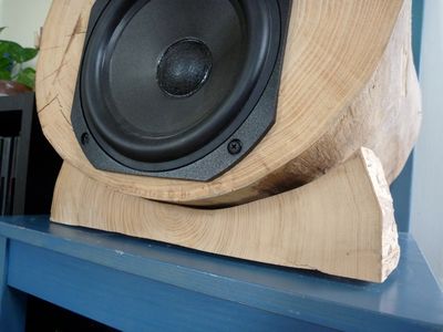 Tree Speakers : 10 Steps (with Pictures) - Instructables