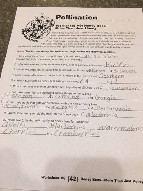 How to Build an Observation Bee Hive : 20 Steps (with Pictures ...