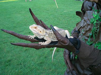 Ent /8 Foot Tree Monster / Treebeard / Tree Man Costume Halloween ...