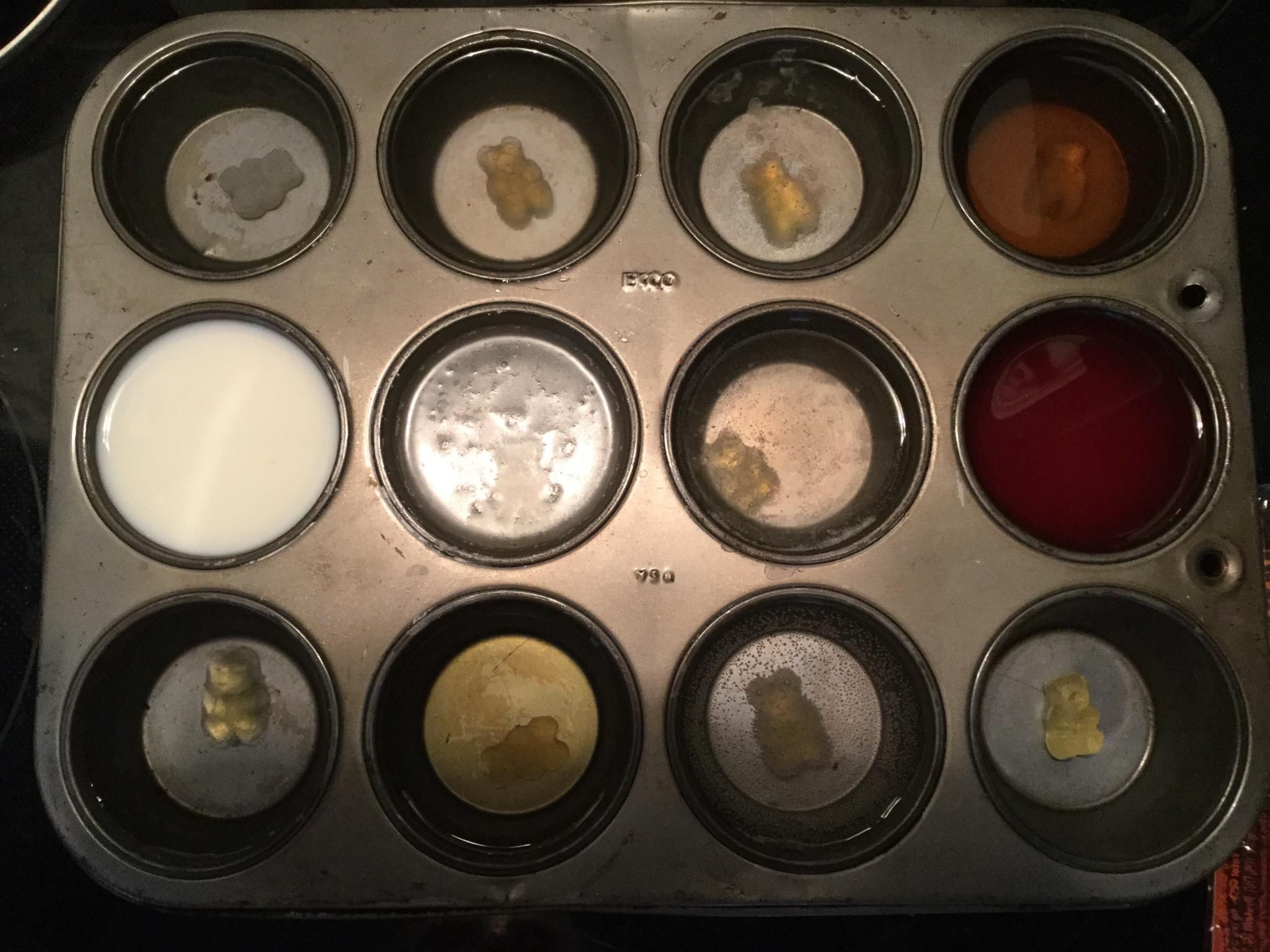 Gummi Bear Science : 7 Steps (with Pictures) - Instructables