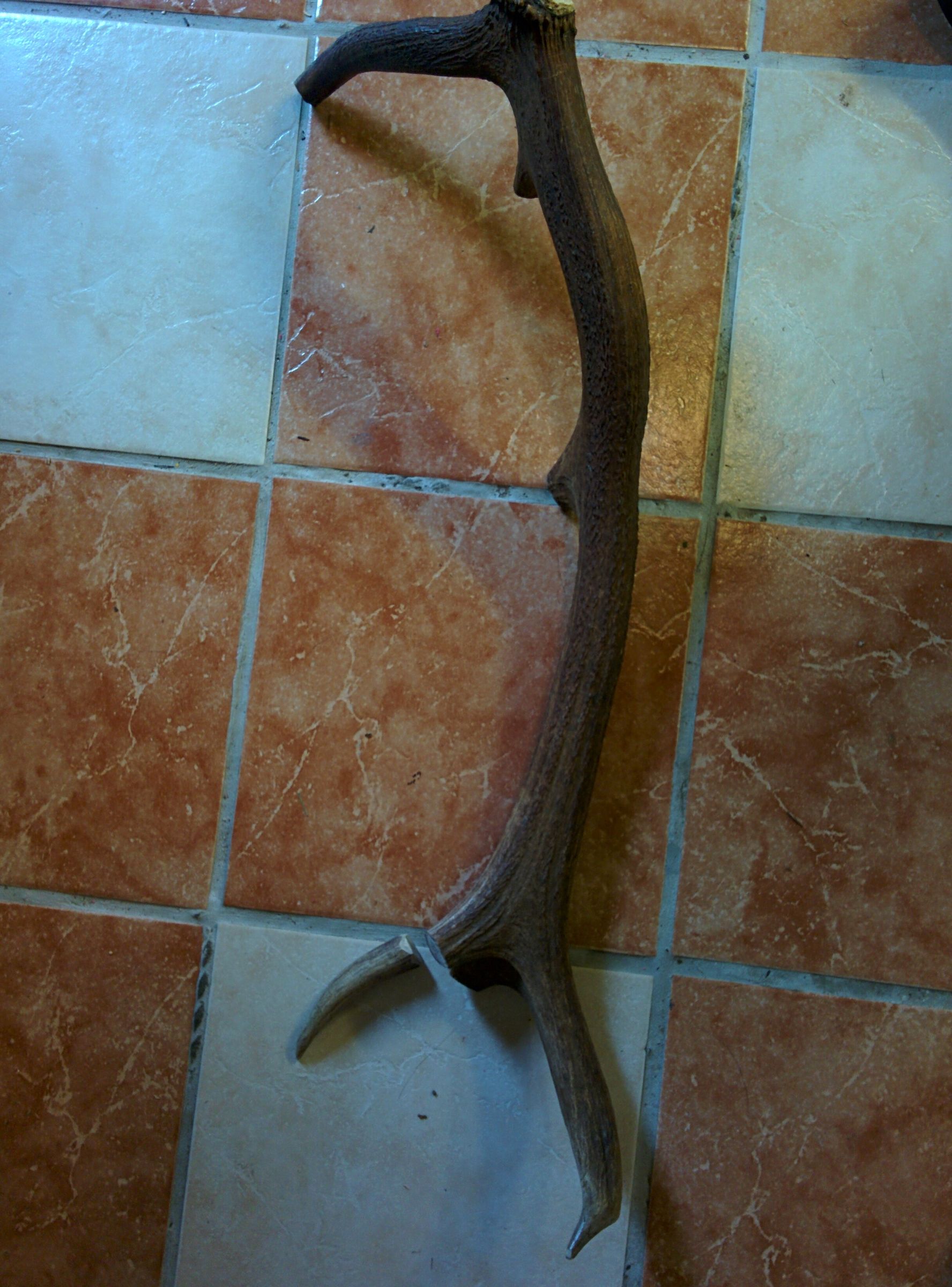 Antler Knife Handles : 8 Steps (with Pictures) - Instructables