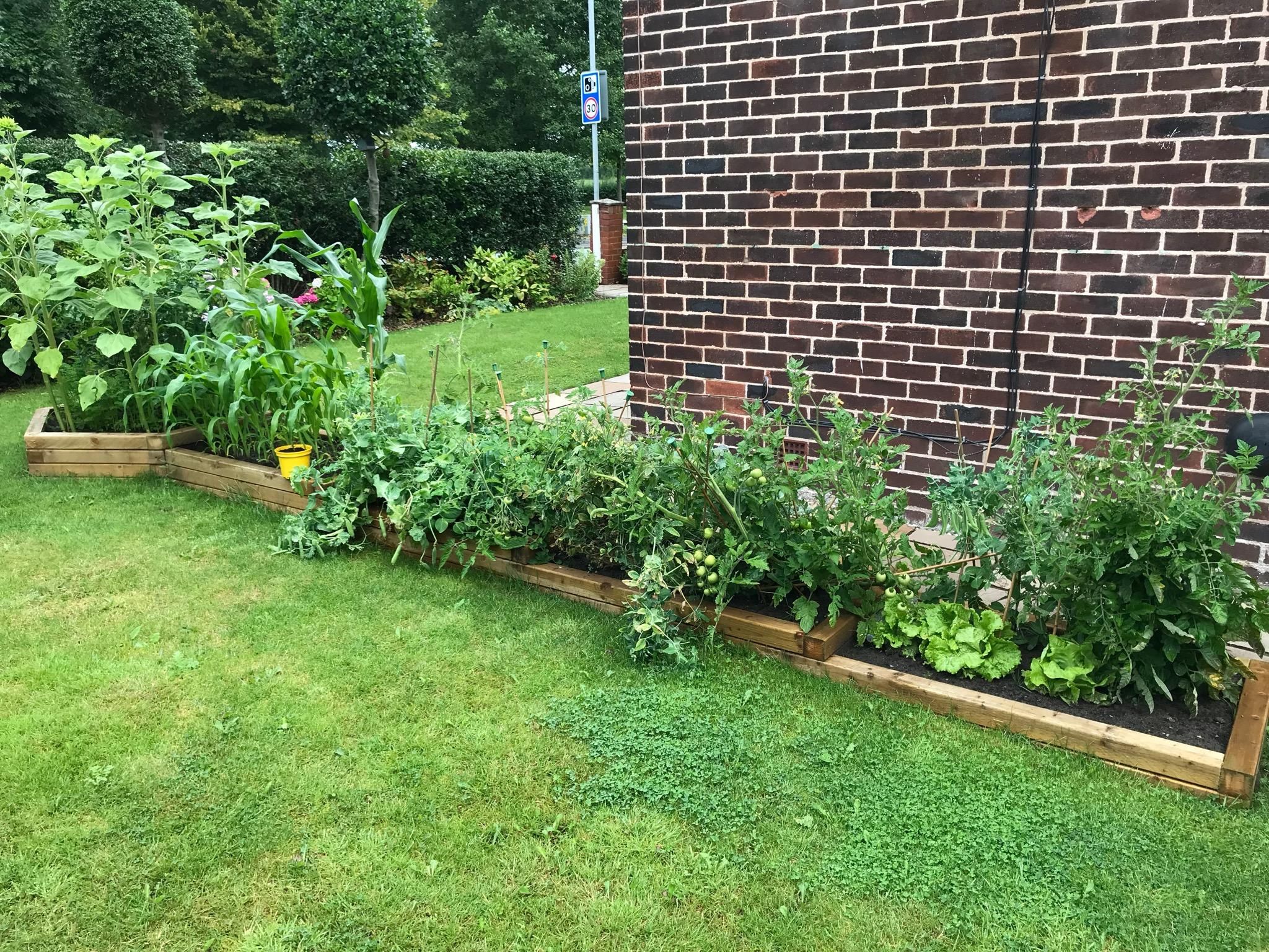 Multi Tiered Wooden Garden Vegetable Planter : 11 Steps (with Pictures ...