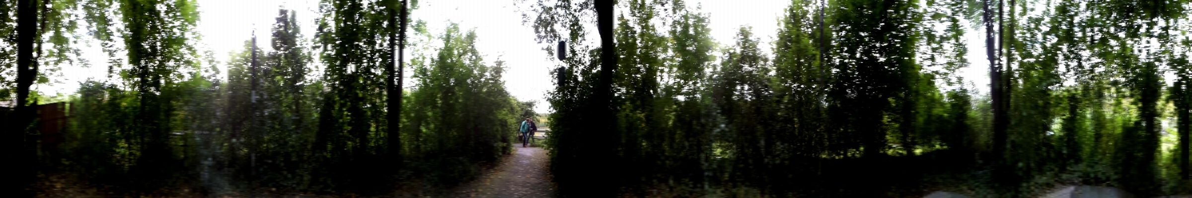 Bike Embedded Landscape Scanner : 11 Steps (with Pictures) - Instructables