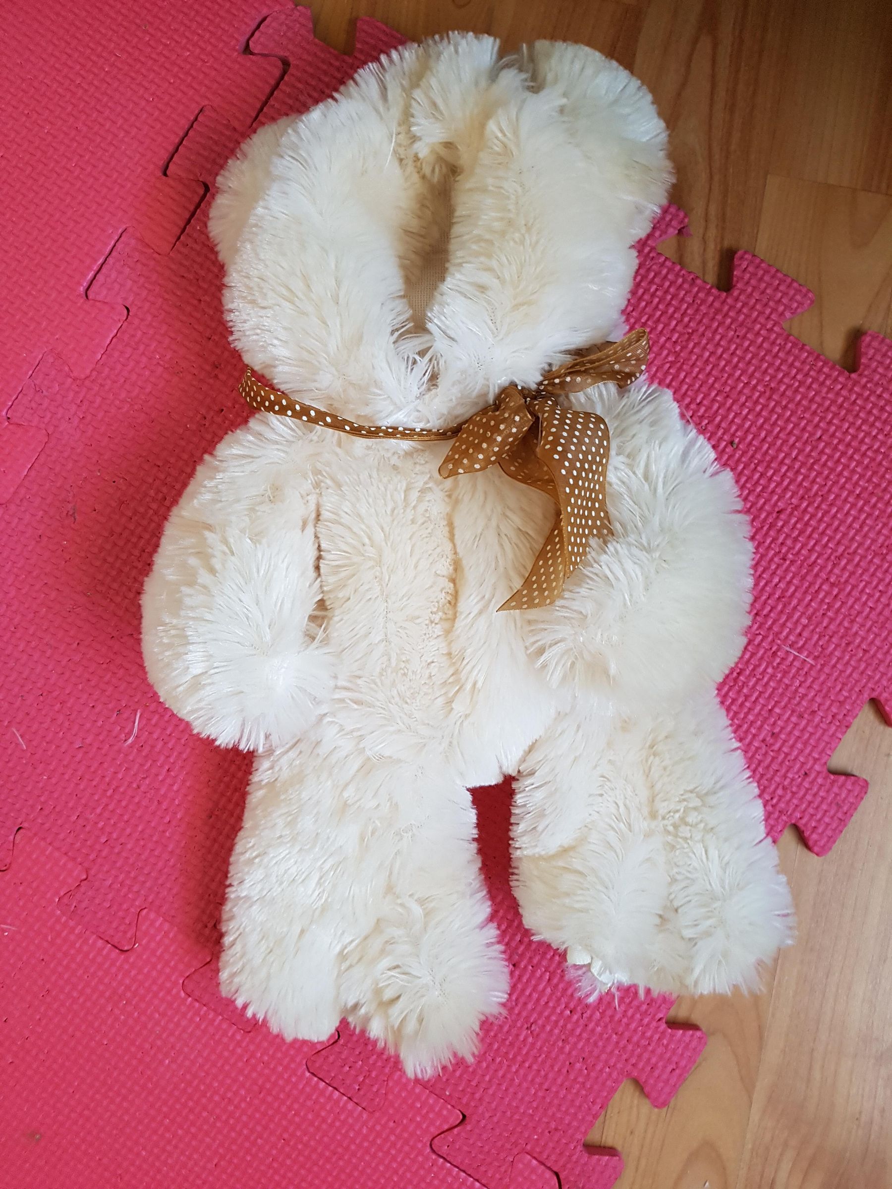 Turn Your Pet Into a Real Life Teddy Bear : 7 Steps (with Pictures ...