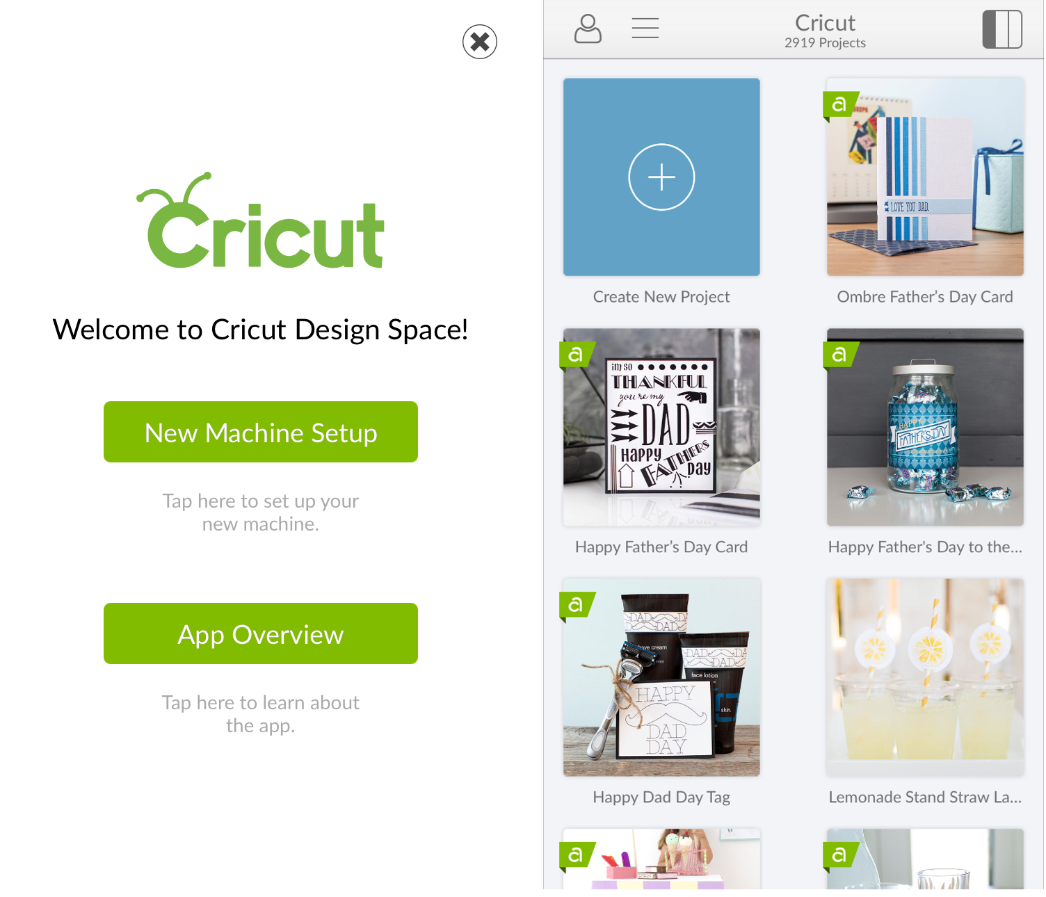 How to Dye Cut Print on a Cricut : 17 Steps (with Pictures) - Instructables
