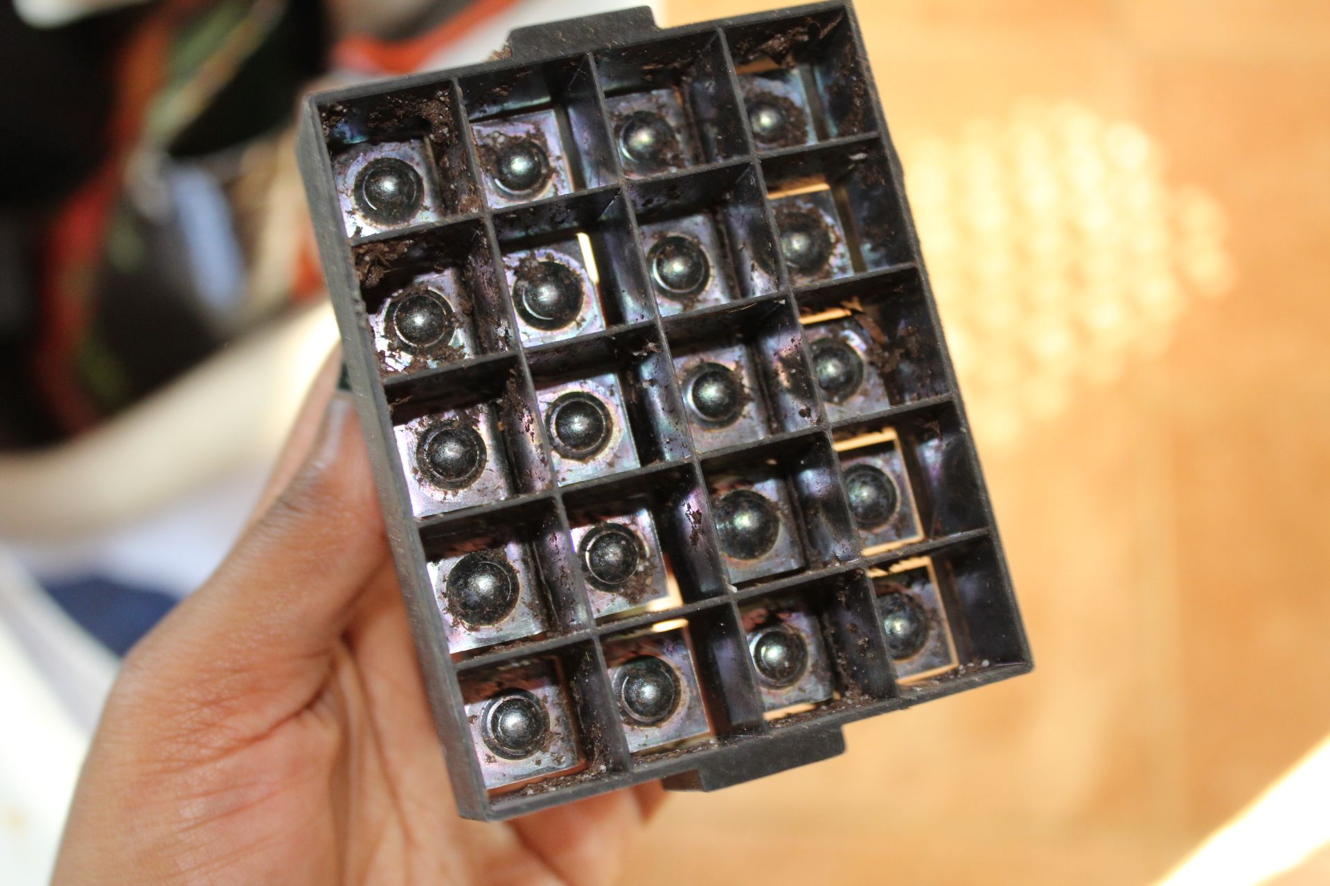 Homemade Pelleted Seeds : 8 Steps (with Pictures) - Instructables