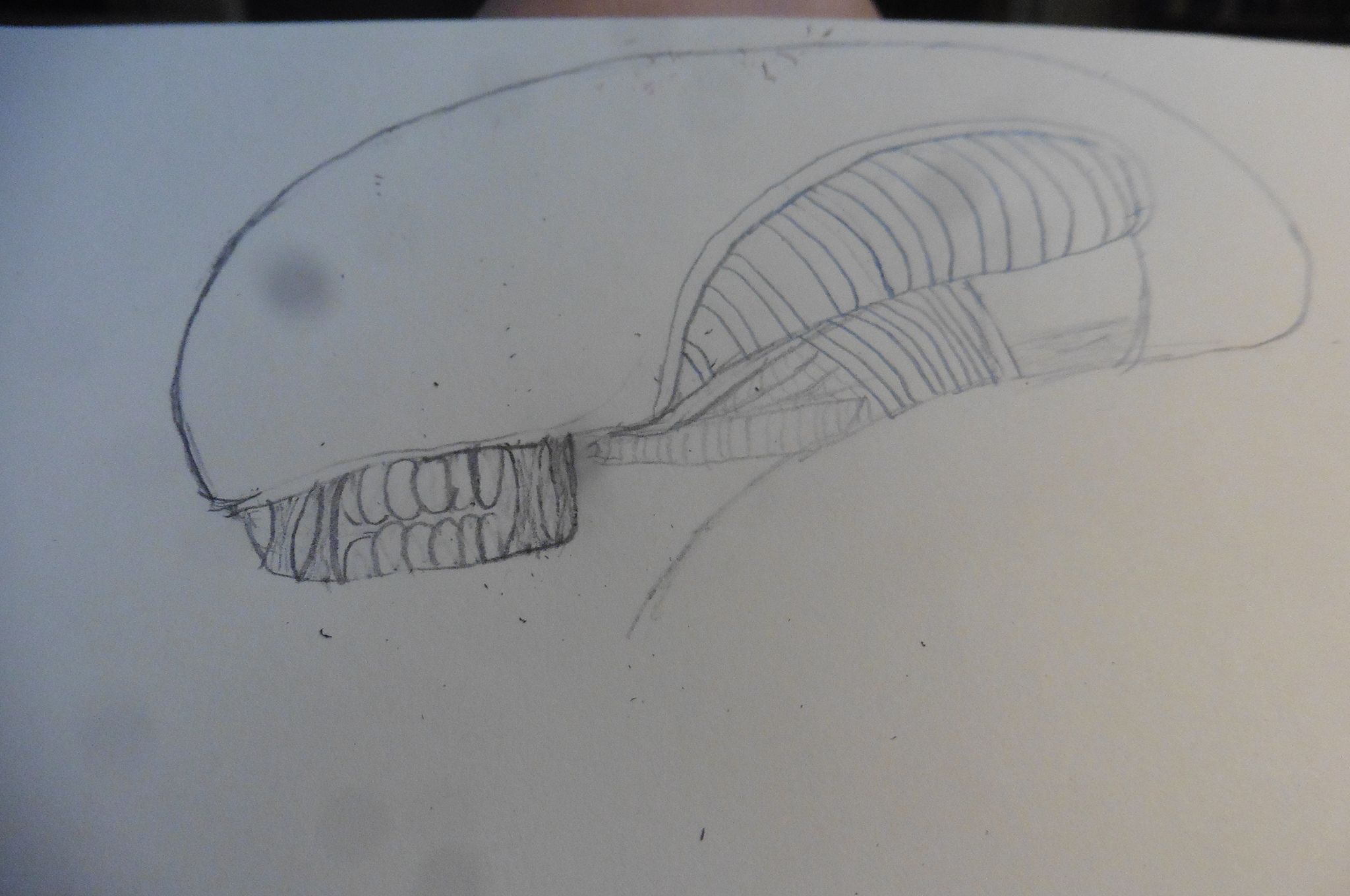 Drawing a Fat Xenomorph : 6 Steps - Instructables