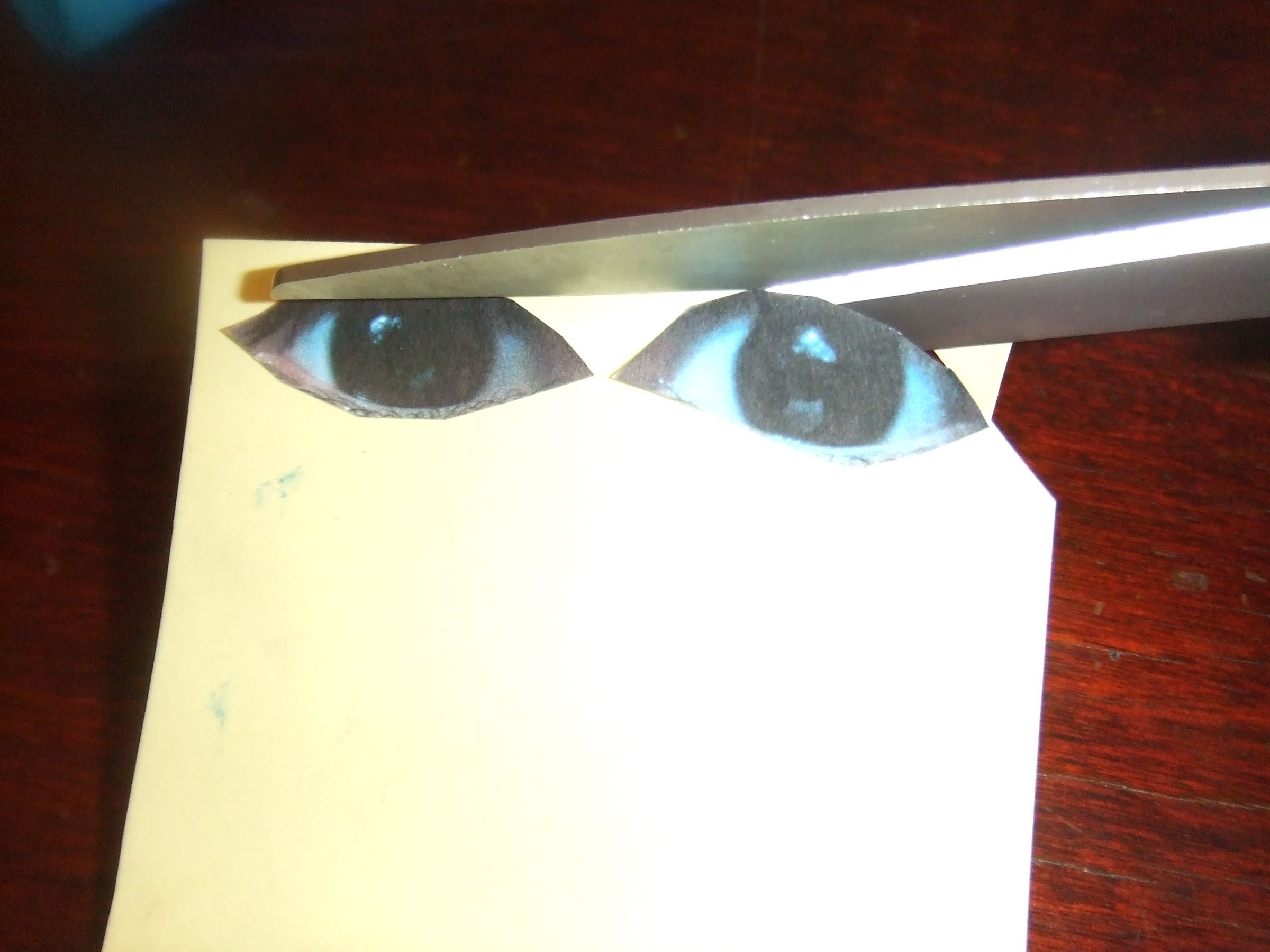 Fake Eye Stickers- a Solution for Your Sleep Loss! : 5 Steps ...