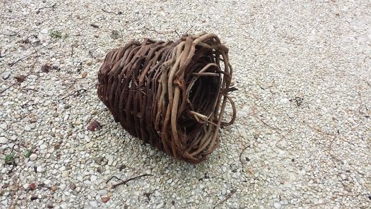 Primitive-Style Survival Fish Basket Trap : 8 Steps (with Pictures ...