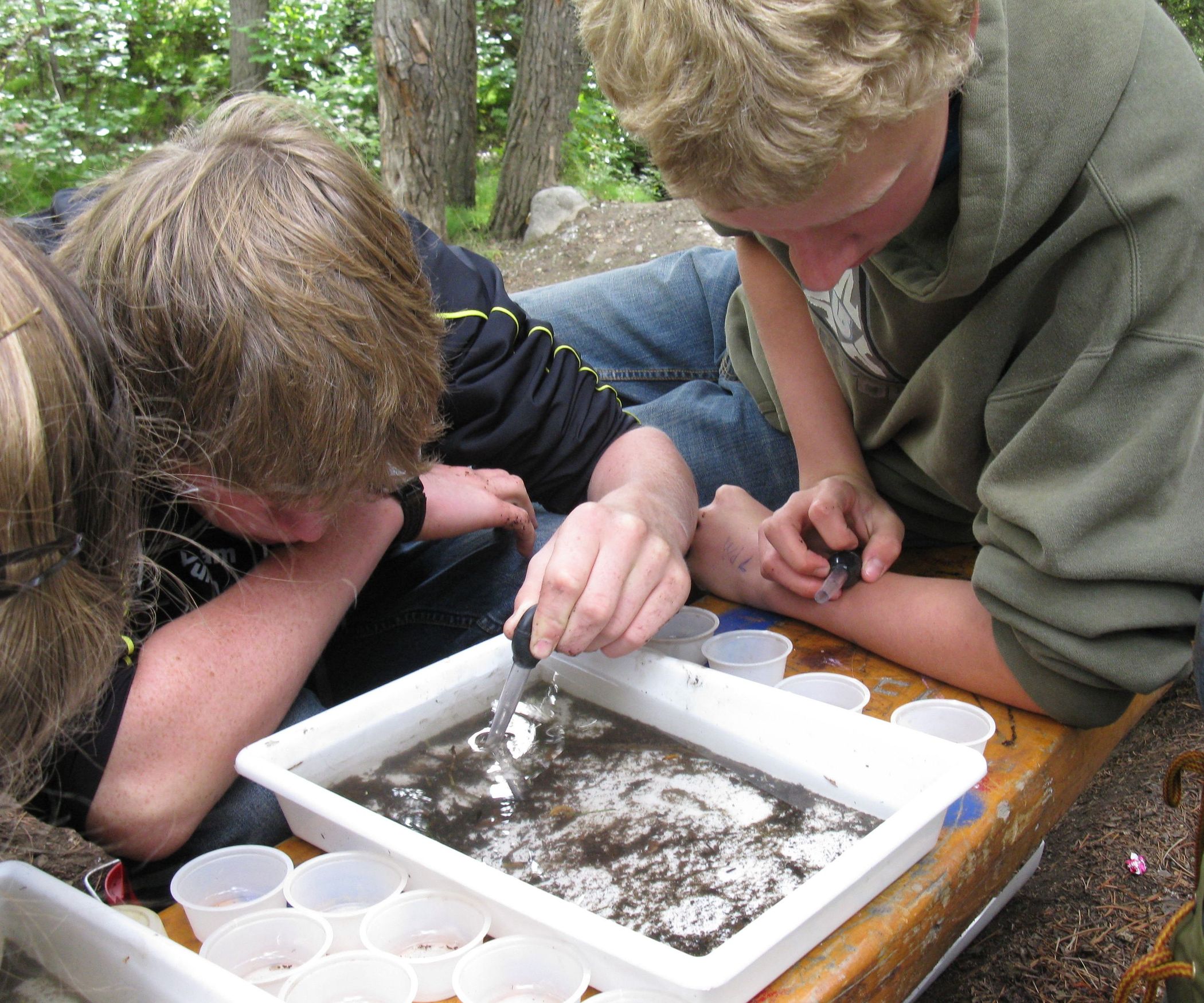 Sucker-Uppers for Collecting Aquatic Invertebrates : 4 Steps ...