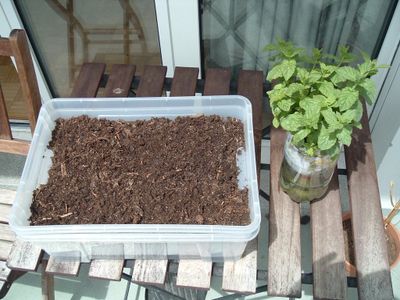 Self Watering Mini Garden : 5 Steps (with Pictures) - Instructables