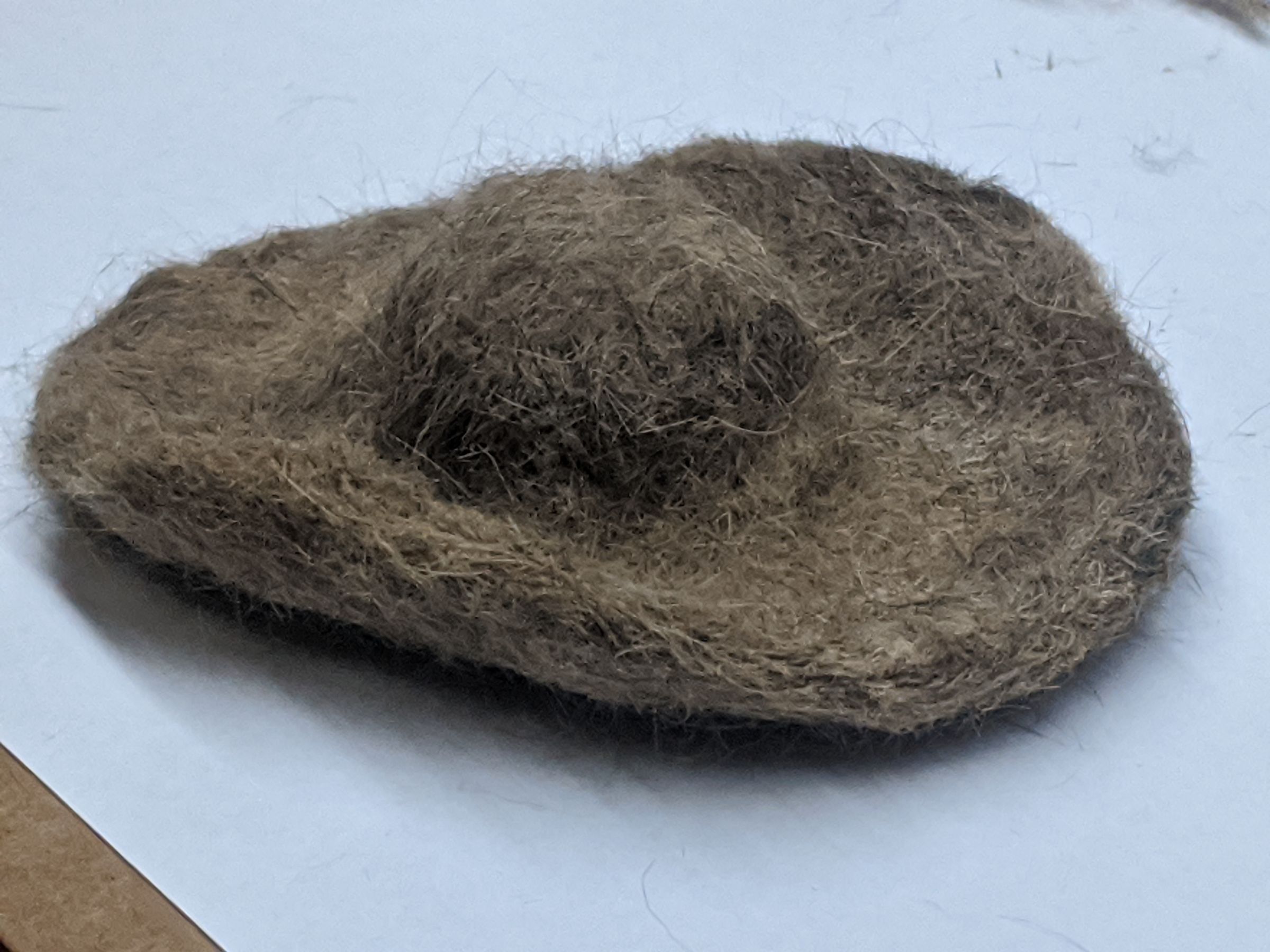 Felted Cat Fur Cat Hat : 3 Steps - Instructables