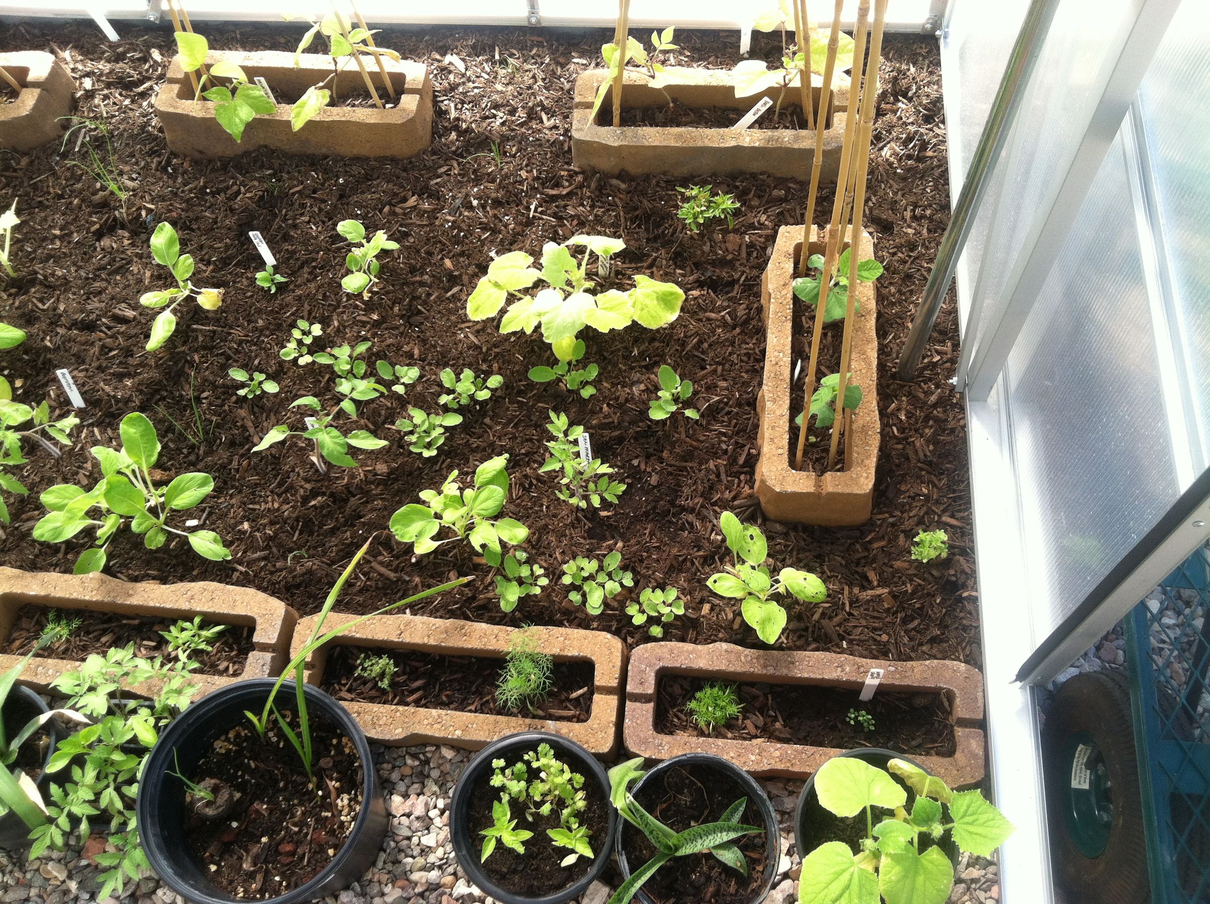 Greenhouse Modifications for Hot Climates : 8 Steps (with Pictures ...