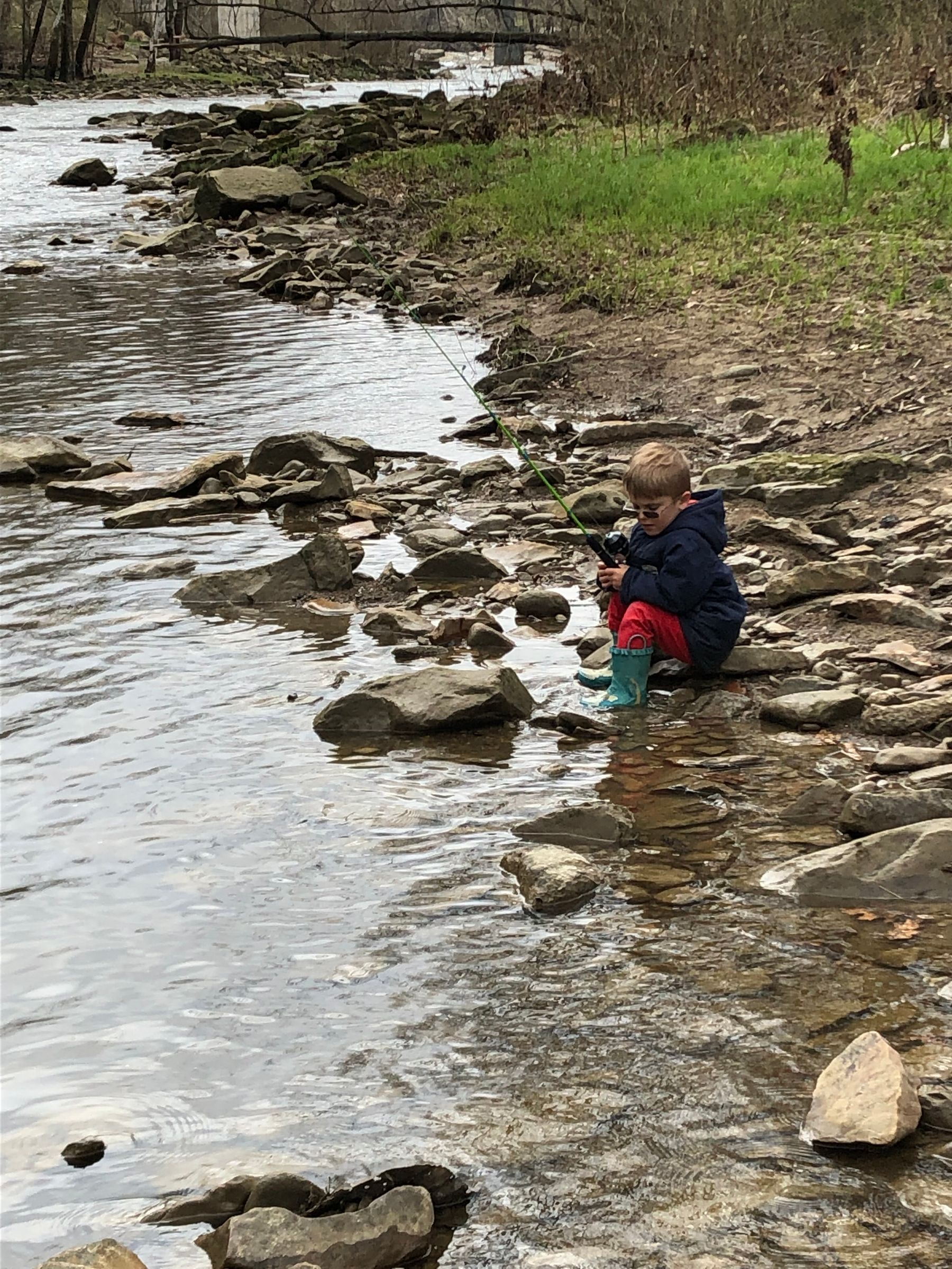 Log Path Cut Into a Hill : 5 Steps (with Pictures) - Instructables