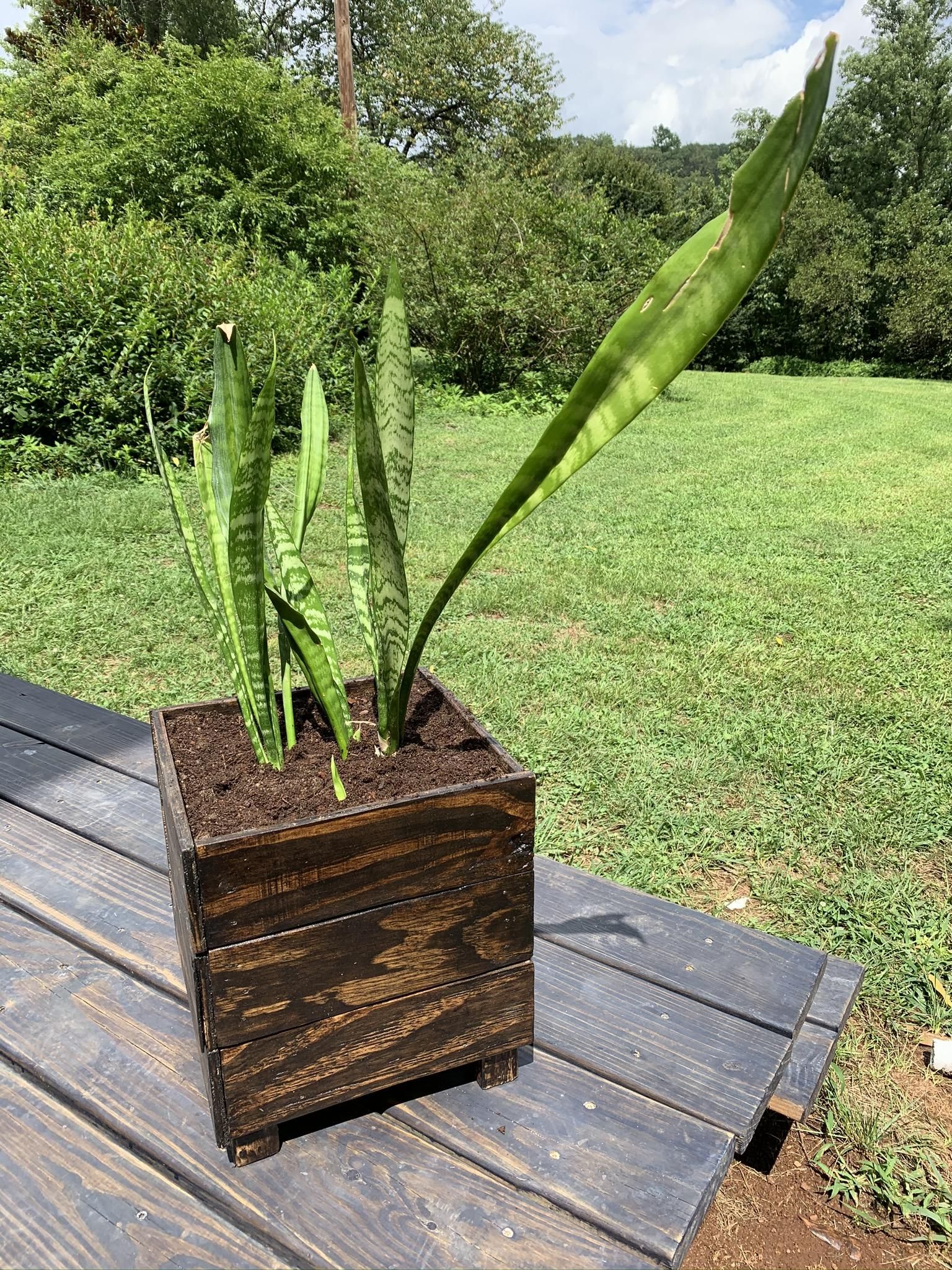Secret Drawer Wood Planter : 10 Steps (with Pictures) - Instructables