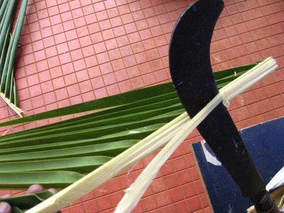 How to Make a Coconut Palm Hat : 16 Steps (with Pictures) - Instructables