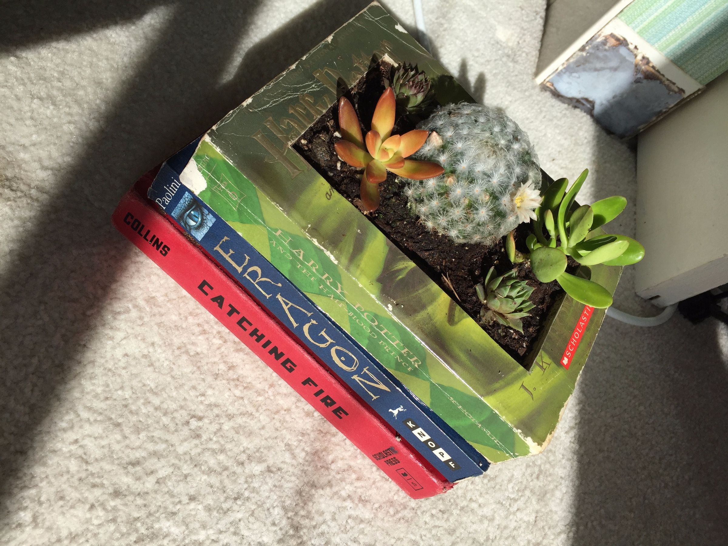 How to Create a Book Planter : 5 Steps (with Pictures) - Instructables