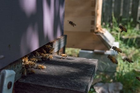 No Drowning, Hive-Top Feeder : 7 Steps (with Pictures) - Instructables