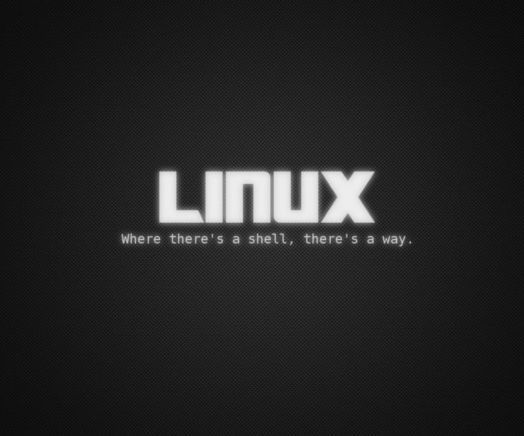 basic use of linux terminal DIY Project to Discover - FindingDIY