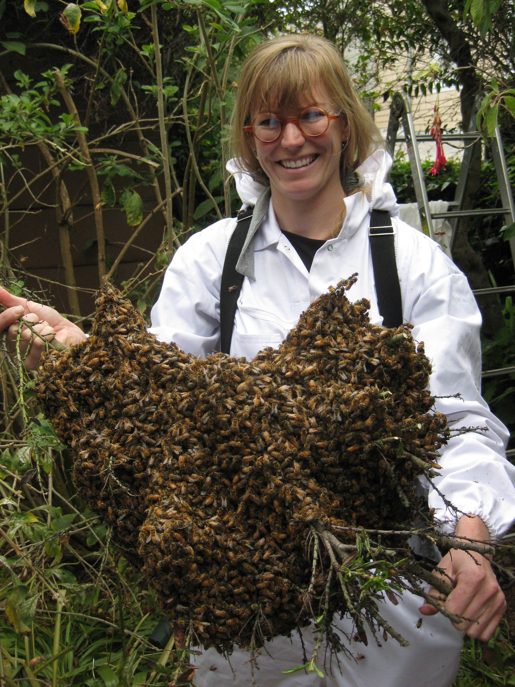 How to Make a Nucleus Honeybee Colony (and Prevent Established Hives ...