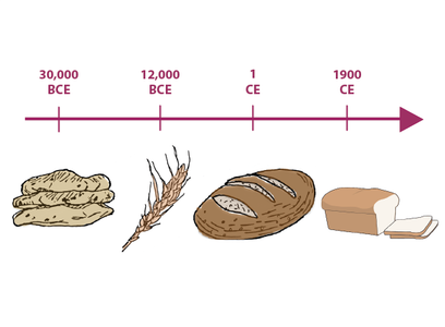 How to Experiment With Bread Making, Yeast, and Gluten : 14 Steps ...