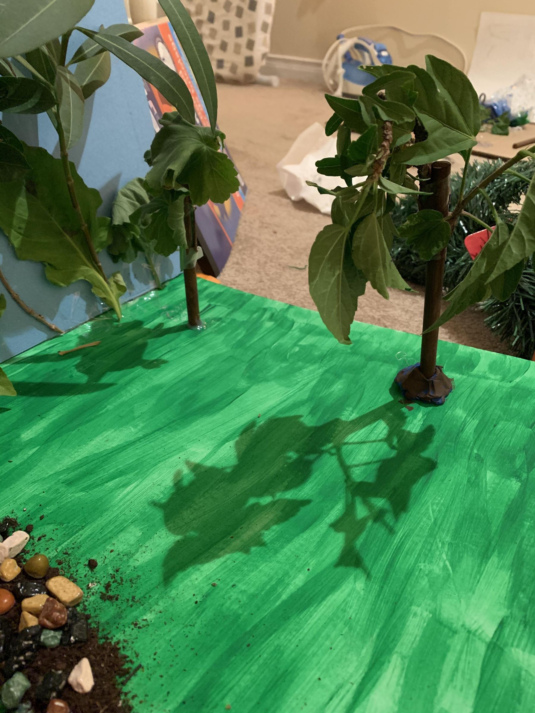 Tropical Rainforest Ecosystem Diorama : 13 Steps (with Pictures ...