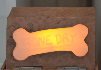 Dog Interface Device : 6 Steps (with Pictures) - Instructables