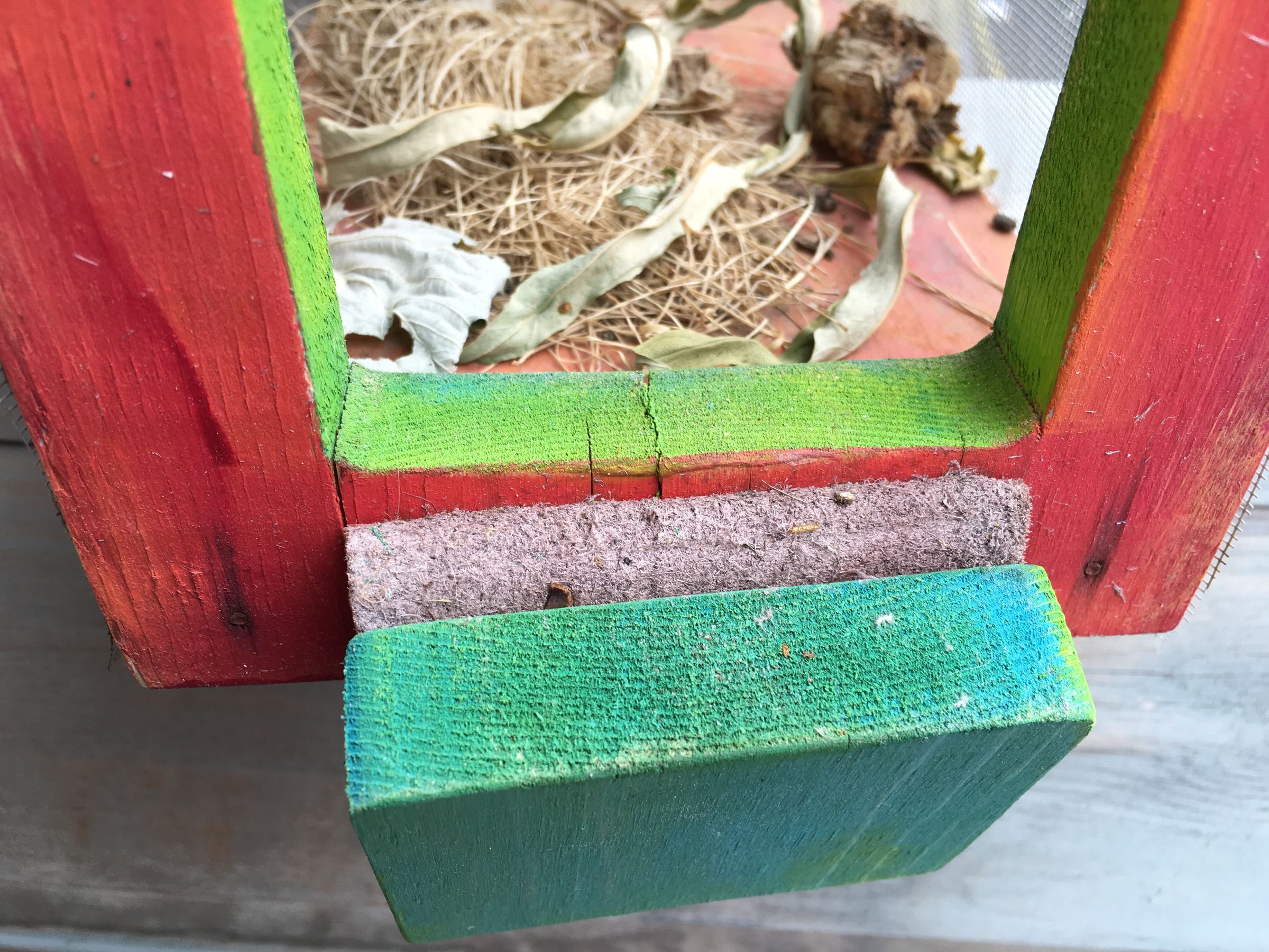 Bug House for Kids : 8 Steps (with Pictures) - Instructables
