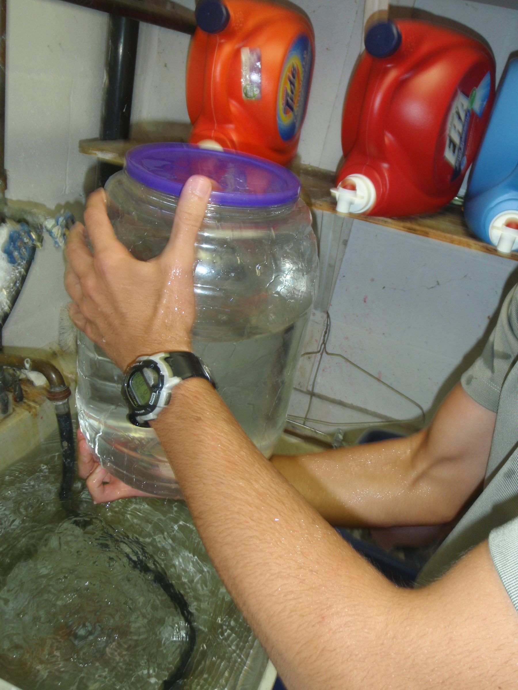Measure Body Fat % Via Underwater Weighing : 9 Steps - Instructables