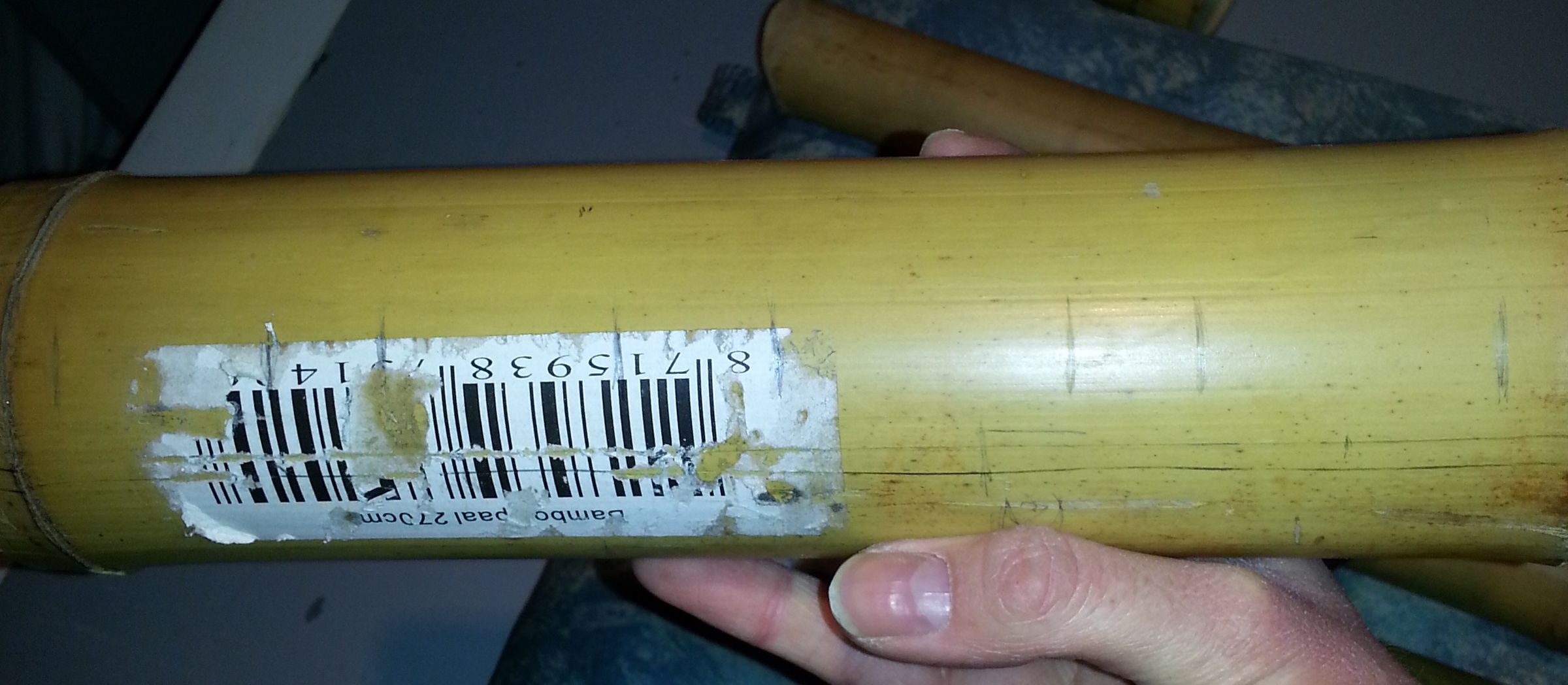 Bamboo Swing : 10 Steps - Instructables