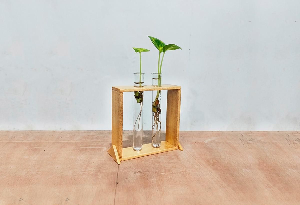 Test Tube Planter | Propagation Station : 9 Steps (with Pictures ...
