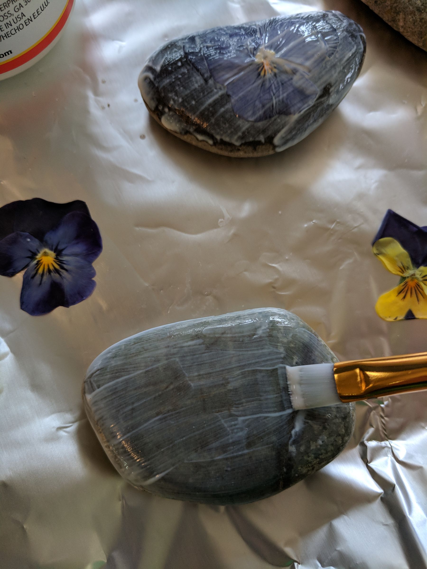 Pressed Flower Rocks : 8 Steps (with Pictures) - Instructables