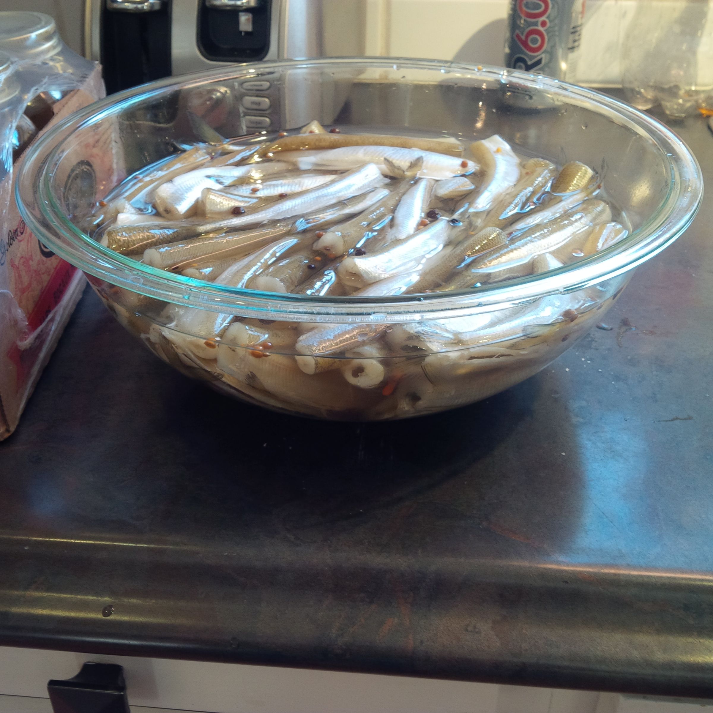 Pickled Smelt : 5 Steps (with Pictures) - Instructables