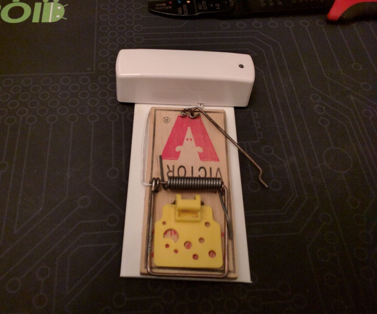 ZWave Mouse Trap : 6 Steps (with Pictures) - Instructables