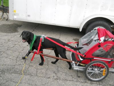 DIY Dog Pull Cart Made Out of a Folding Bicycle Trailer. : 9 Steps ...