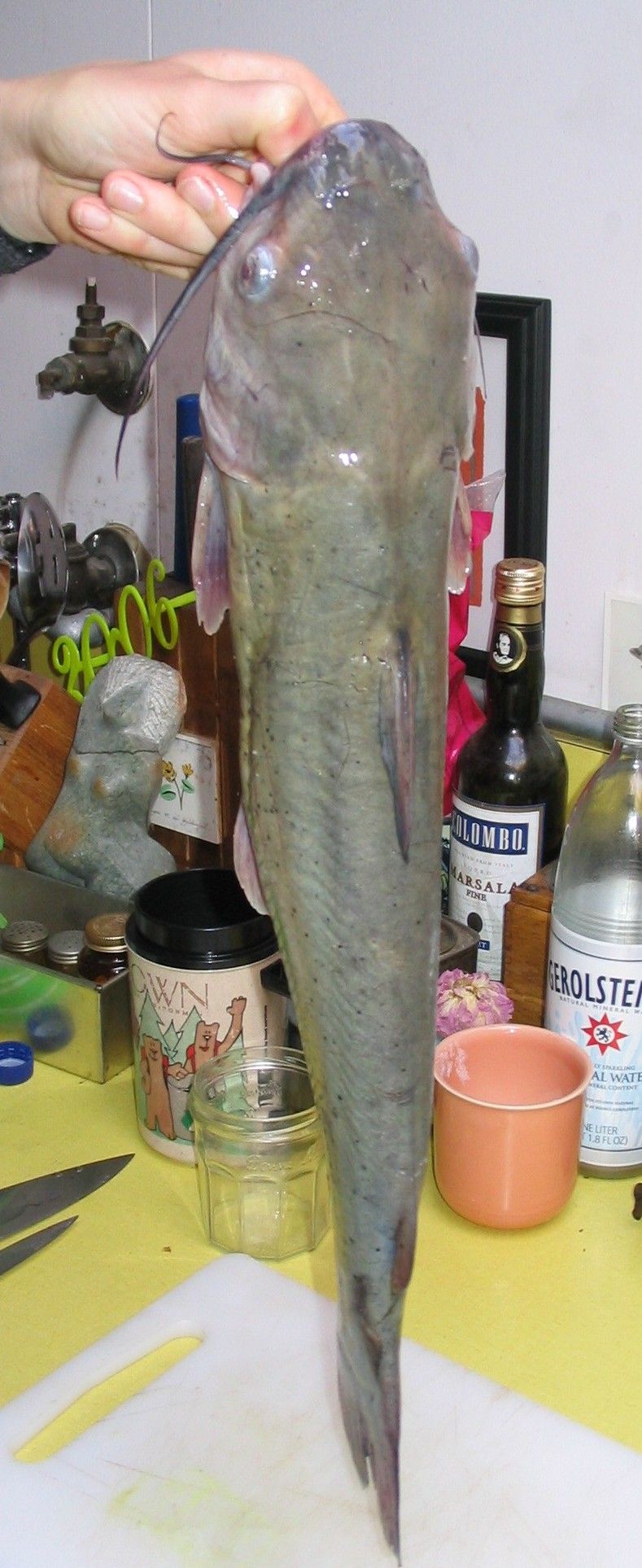 Skinning and Filleting Catfish : 13 Steps (with Pictures) - Instructables