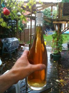 How to Make Cider : 12 Steps (with Pictures) - Instructables