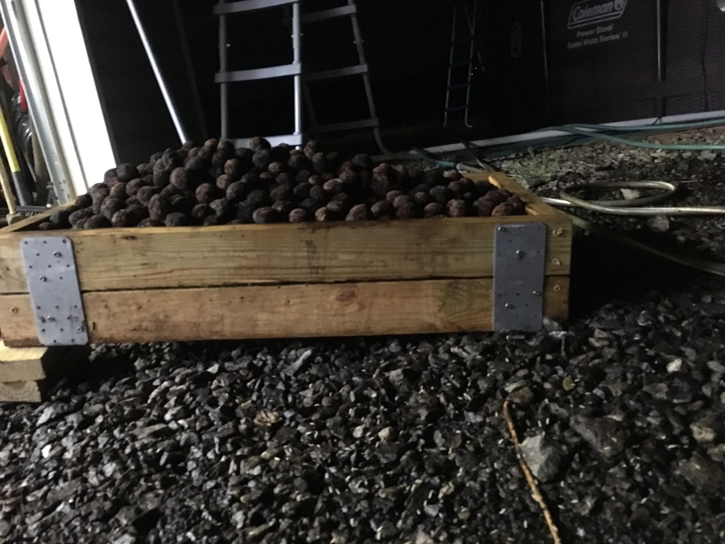 Harvesting and Processing Black Walnuts : 13 Steps - Instructables