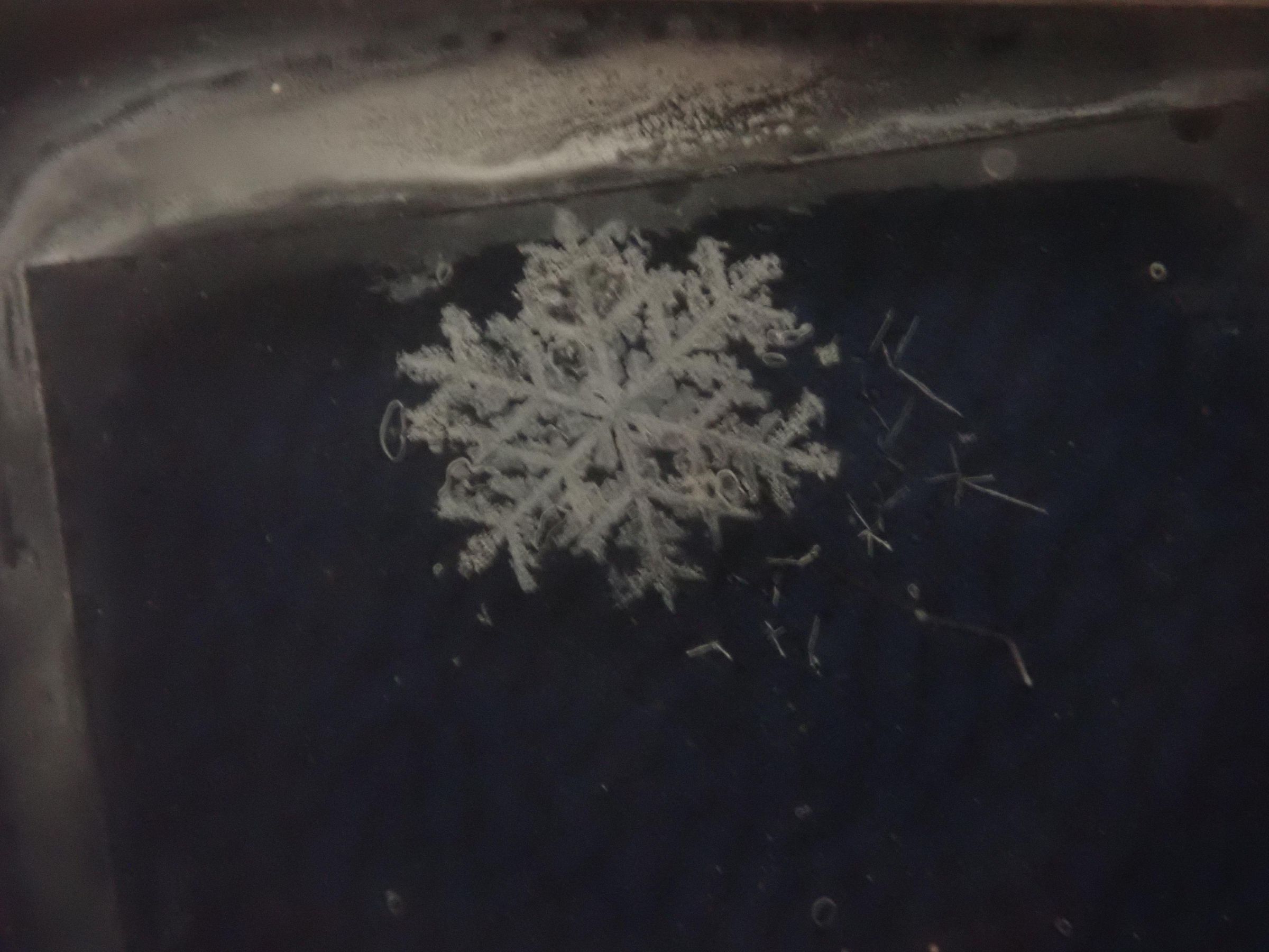 How to Preserve a Snowflake Forever! : 7 Steps (with Pictures ...