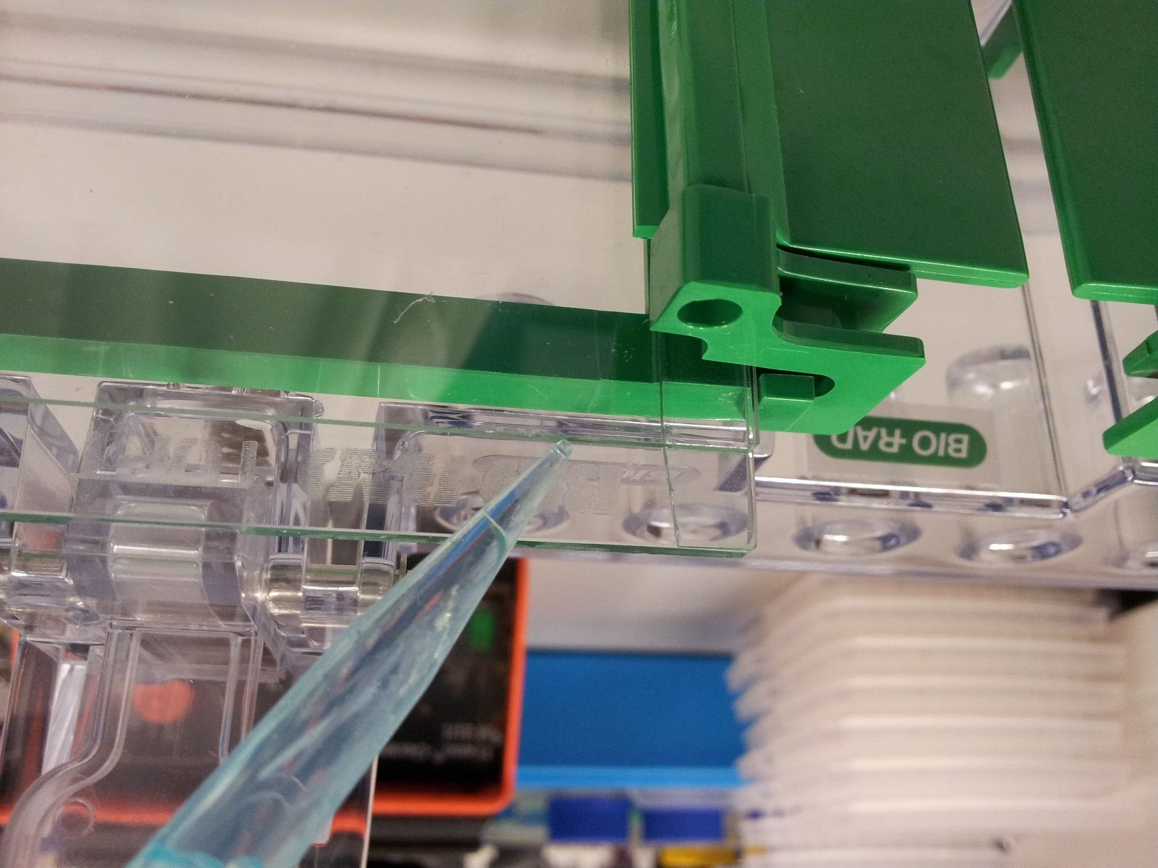 Evaluation for an APS/TEMED Aliquot in the SDS-PA Gel Protocol : 8 ...