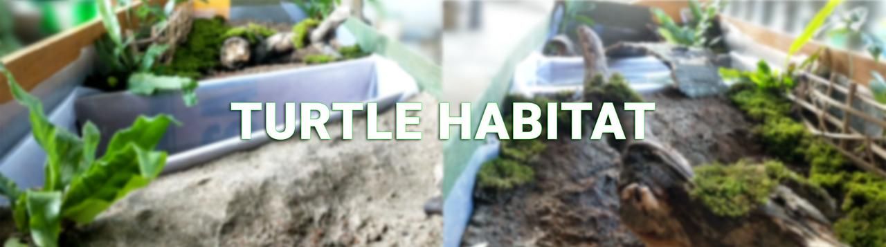Turtle Habitat for Baby Turtles | Homemade Turtle Garden : 18 Steps ...