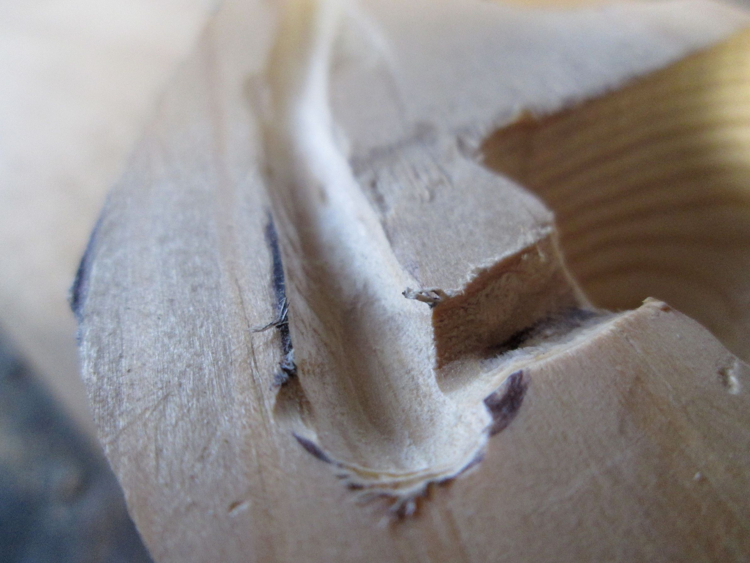 How to Make a Wooden Smoking Pipe : 8 Steps - Instructables