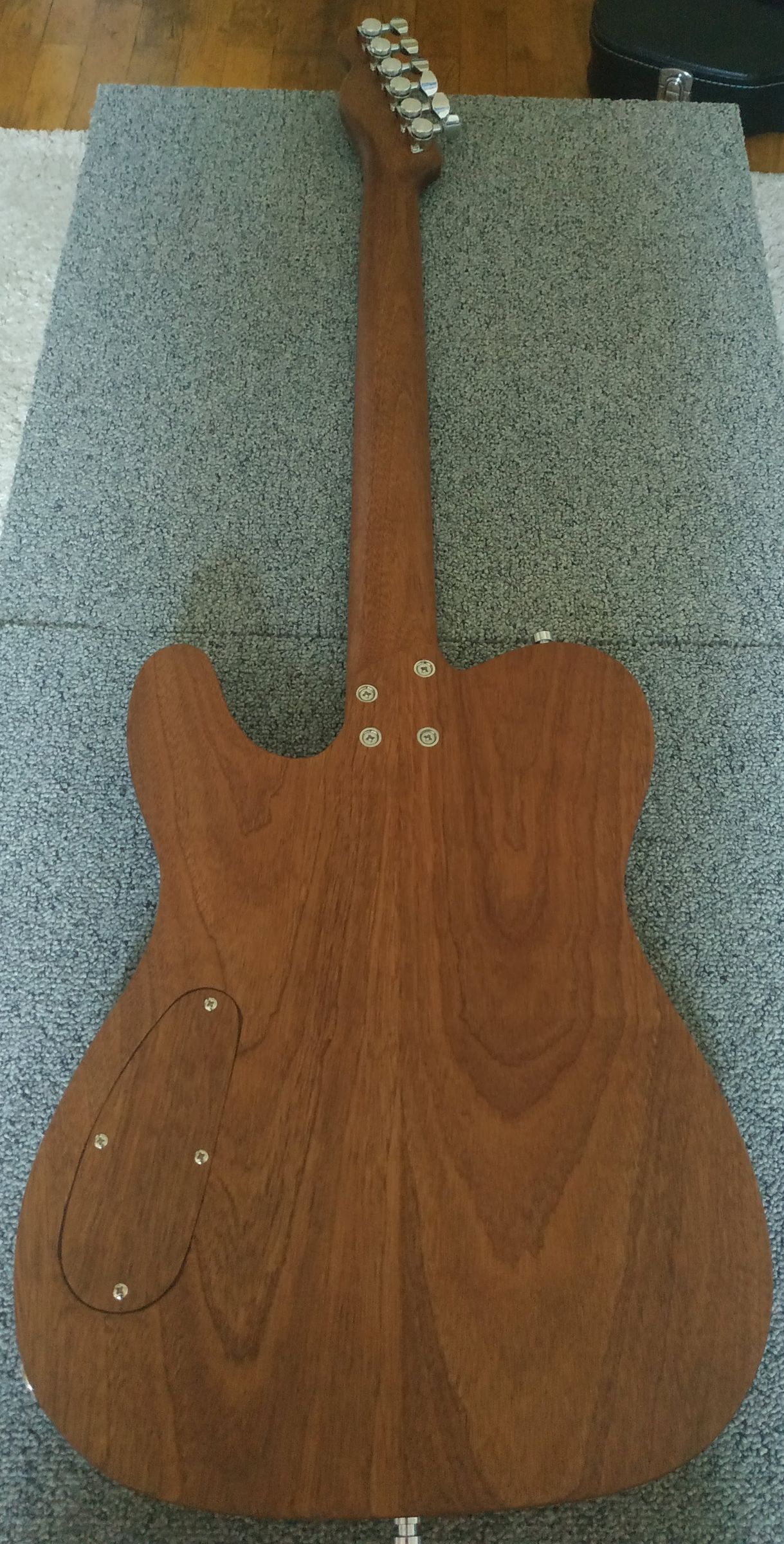 Building a Guitar: Telecaster Thinline : 12 Steps (with Pictures ...