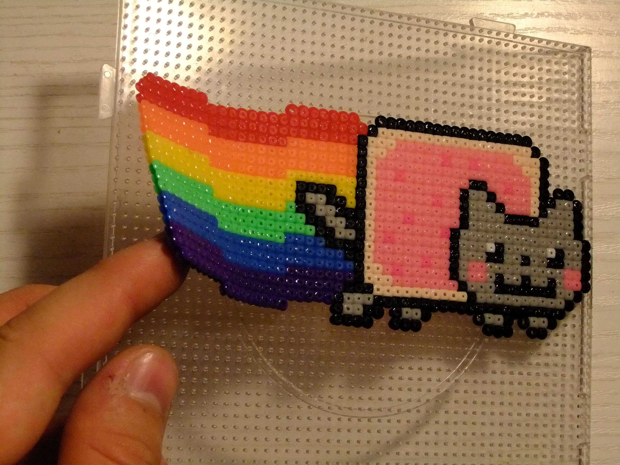 Nyan Cat In Real Life